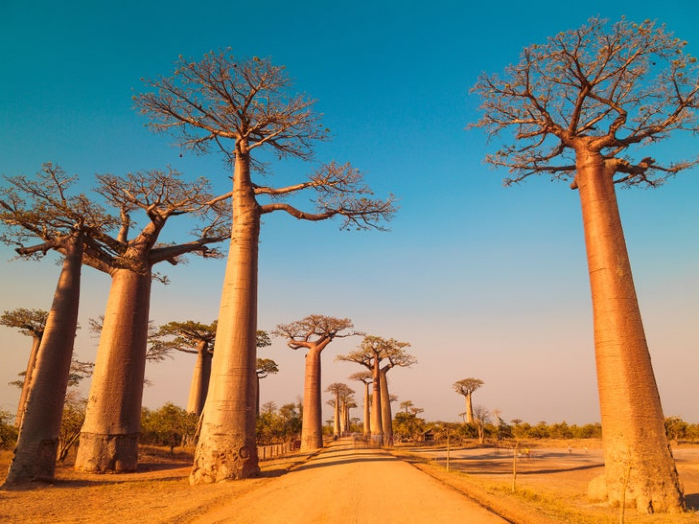 50 Most Beautiful Places in the World | Bridgewater, NJ | Great Escapes ...